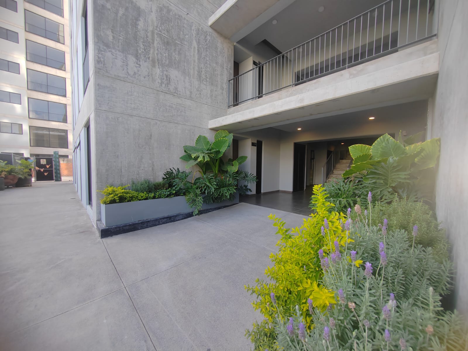 DESARROLLO ALTURES: TORRE VERTICAL EN CAPITAL NORTE – Ayde